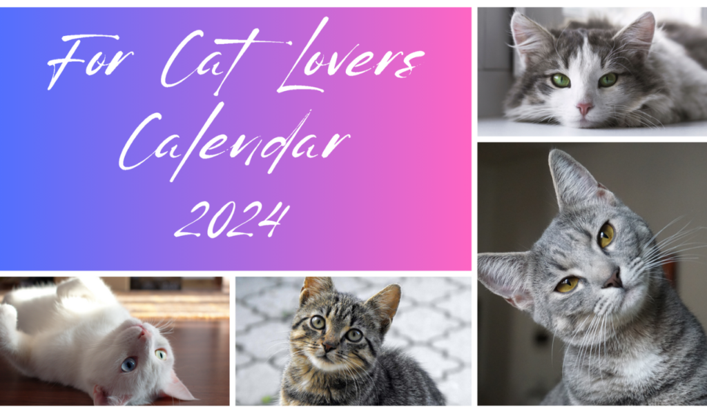 For Cat Lovers – 2024 Calendar - HWWEDER